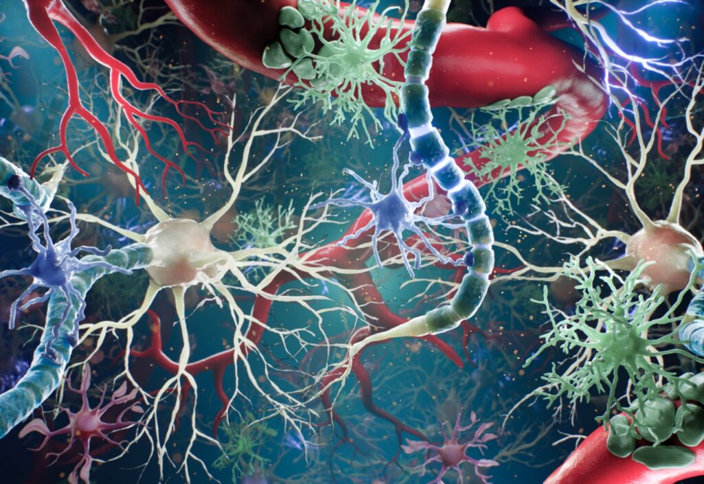 A comprehensive overview of Cerebrolysin®